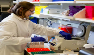 Medical Physicist | White Rose Industrial Physics Academy
